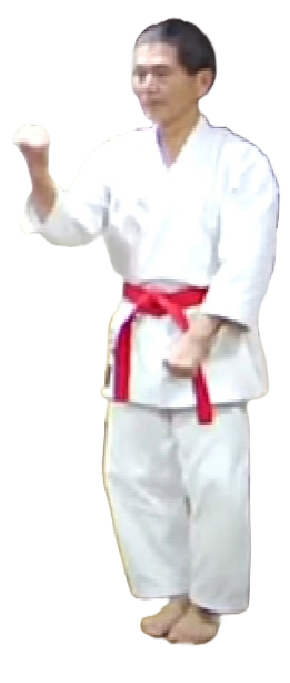 PINAN SANDAN: ALMOST NAIHANCHI :: Karate Shorin-ryu Torino e Settimo ...